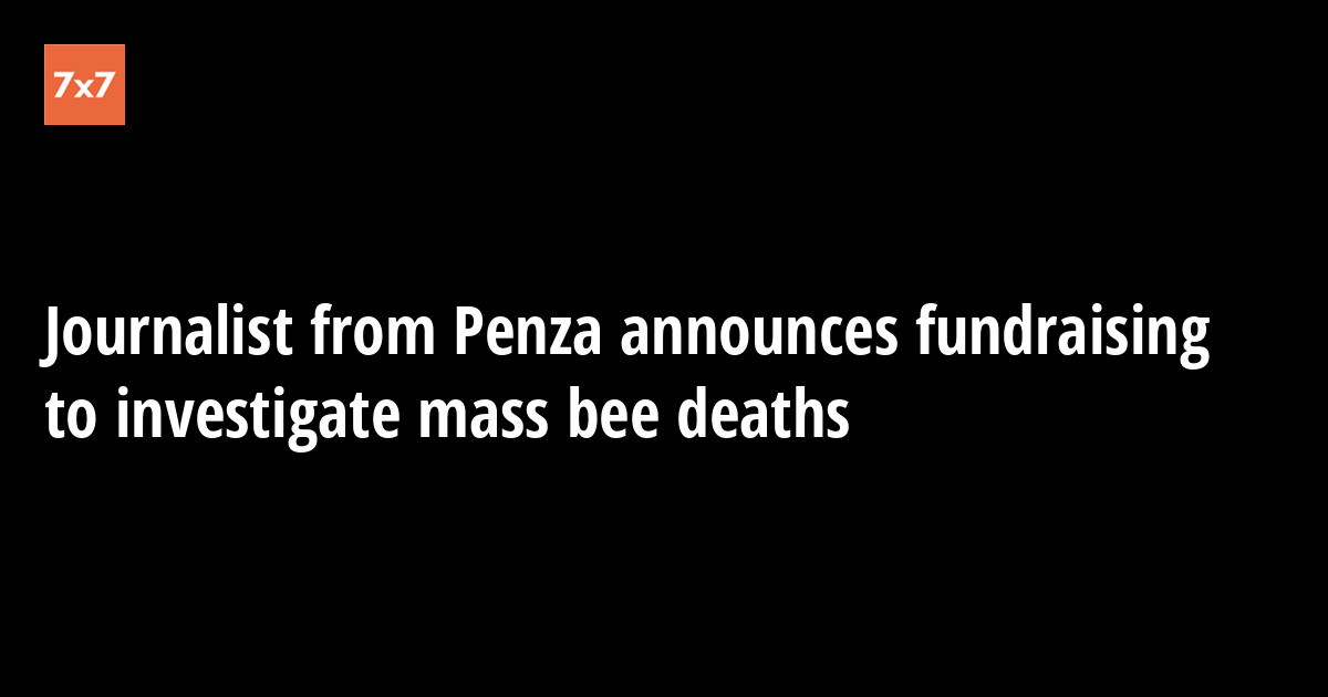 Journalist from Penza announces fundraising to investigate mass bee ...